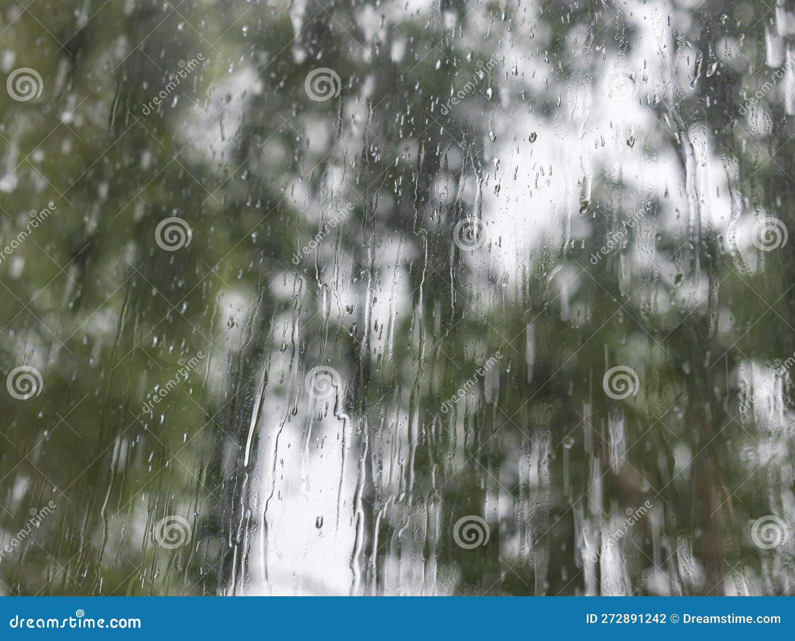 Landscape Green Blurred by Rain at the Window Stock Photo - Image of ...