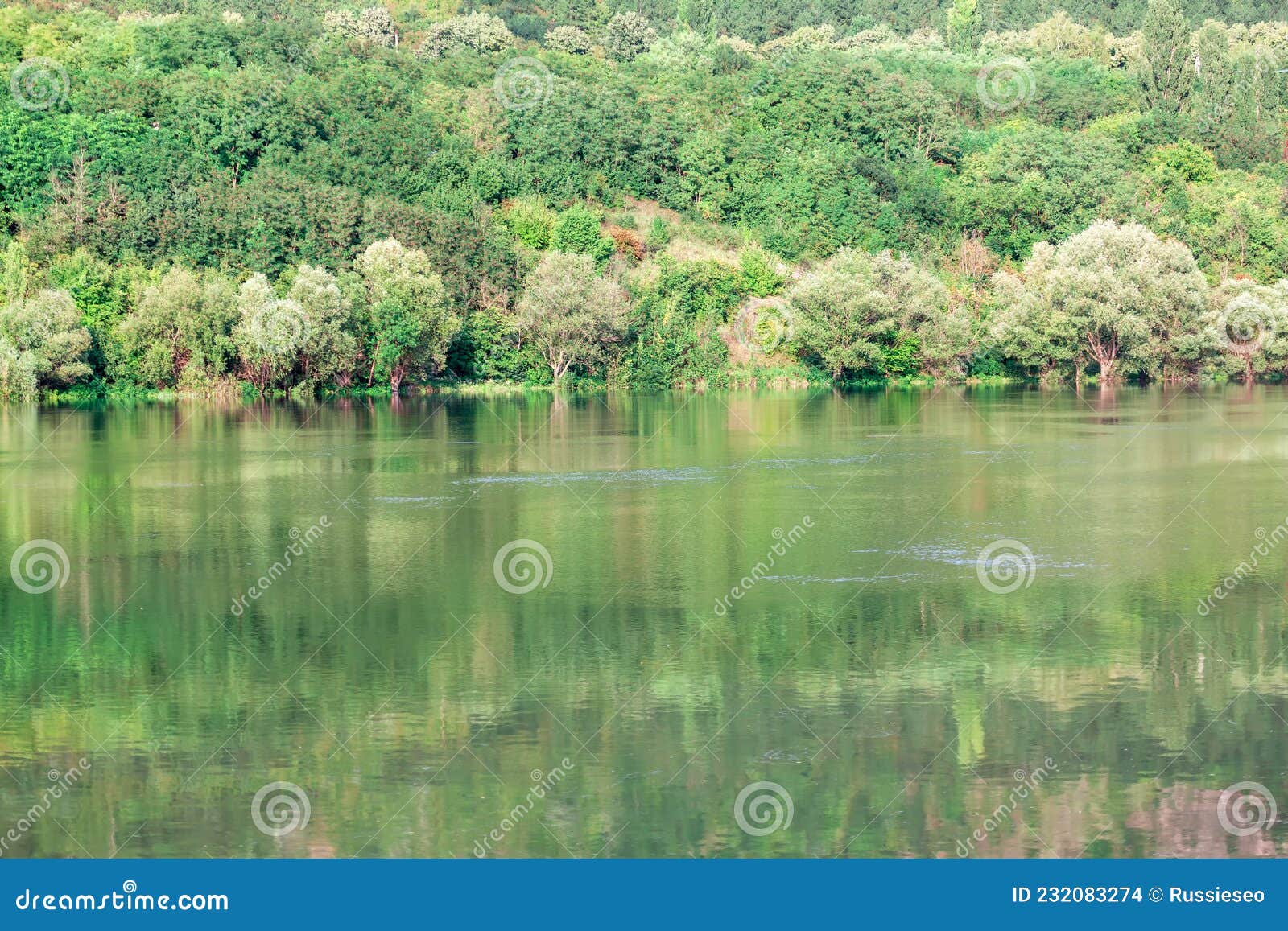 Landscape with Green Forest on the Riverside Stock Photo - Image of ...