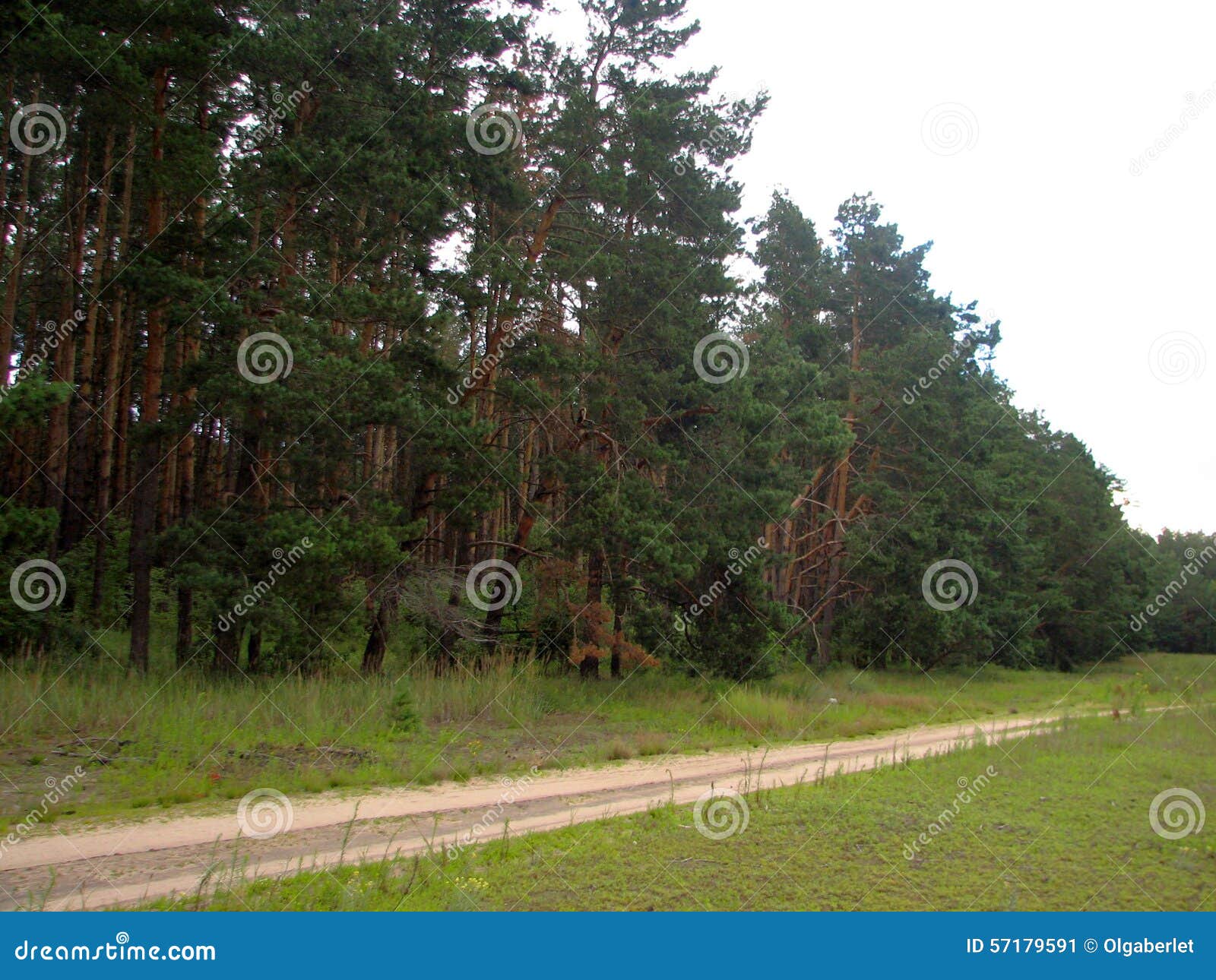 Landscape with Green Grass, Road Stock Image - Image of field, bright ...