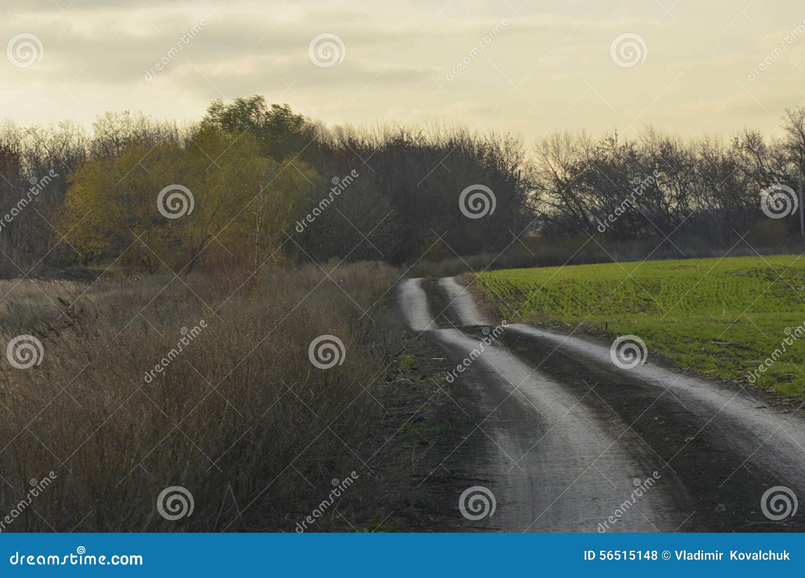 Landscape with Green Grass, Road and Clouds Stock Photo - Image of dirt ...