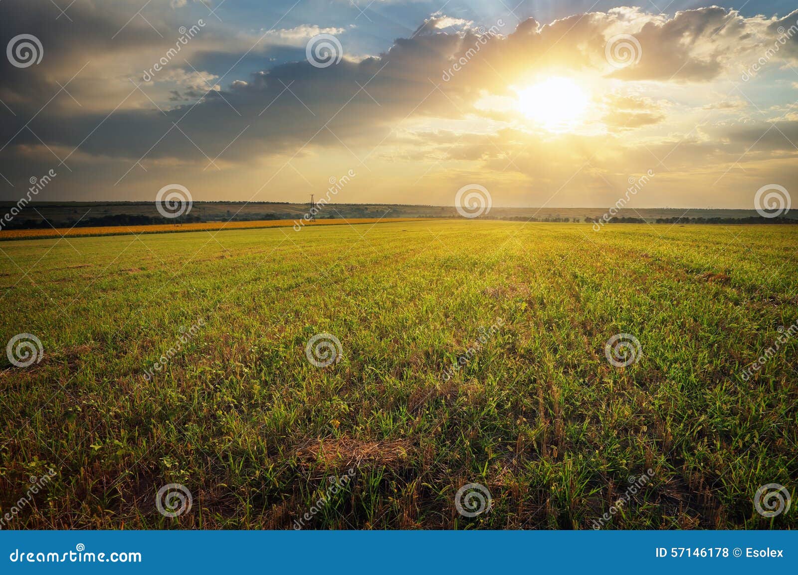 Landscape with Green Meadow and Sun. Stock Photo - Image of color ...