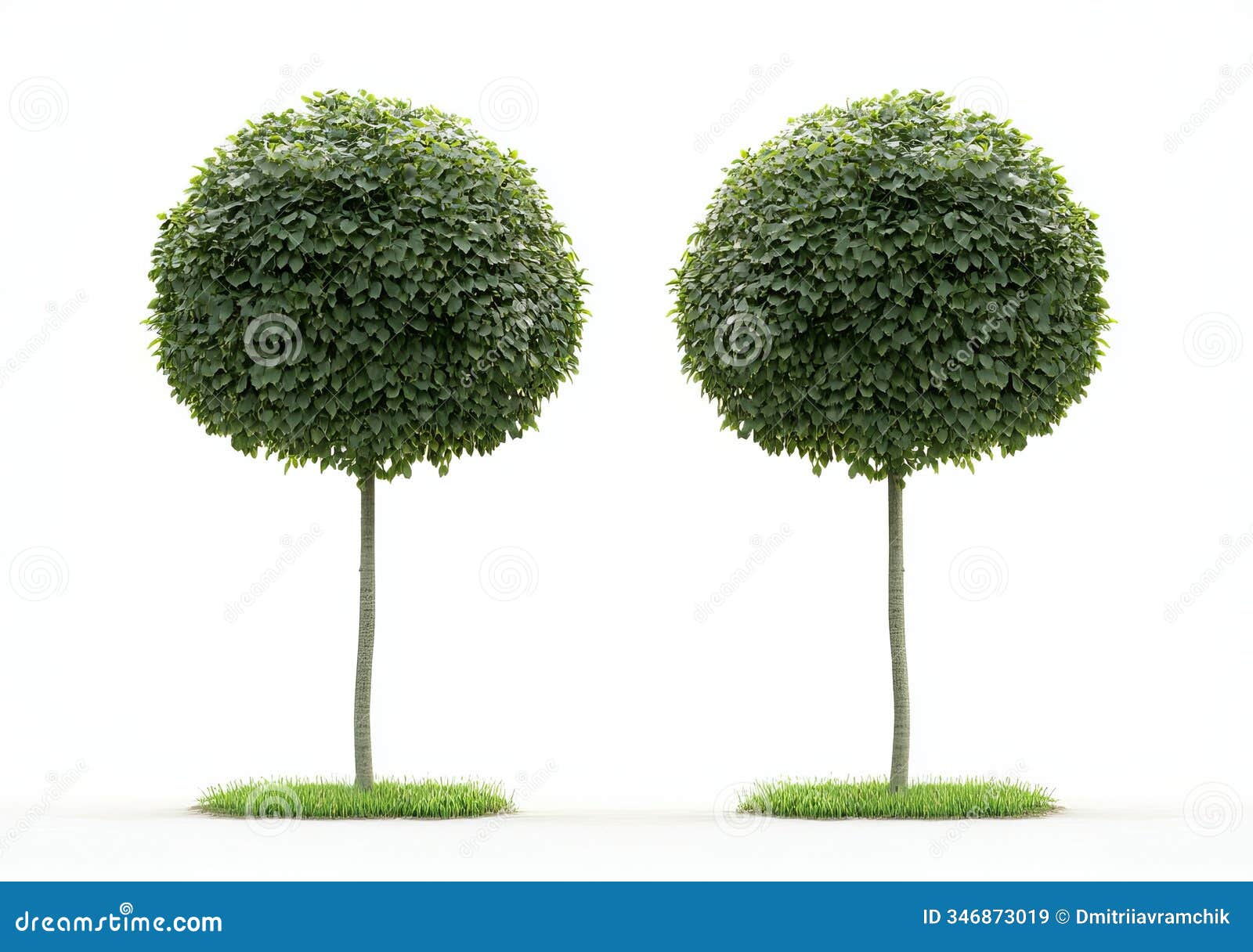 The Landscape of a Green Park with Bushes and Trees is Cut Out Stock ...