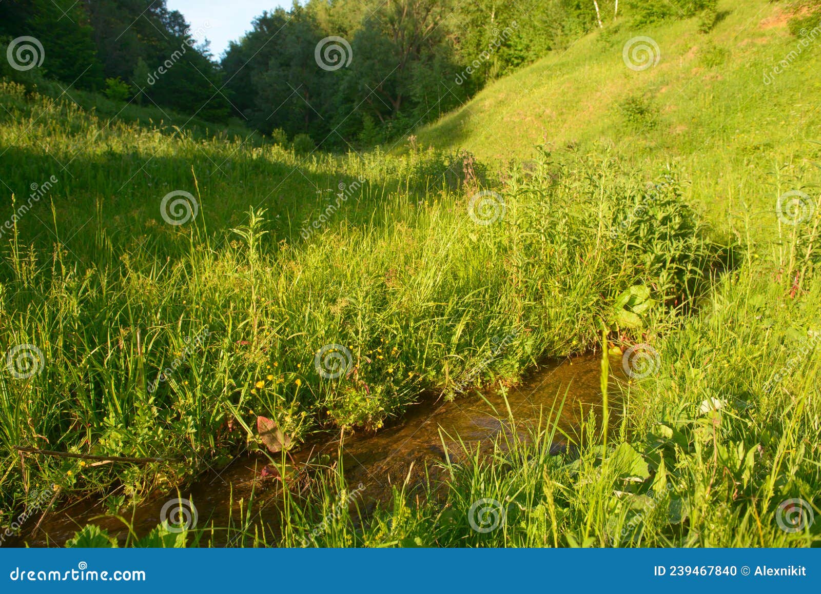 Landscape with Green Ravine, River and Forest Stock Photo - Image of ...