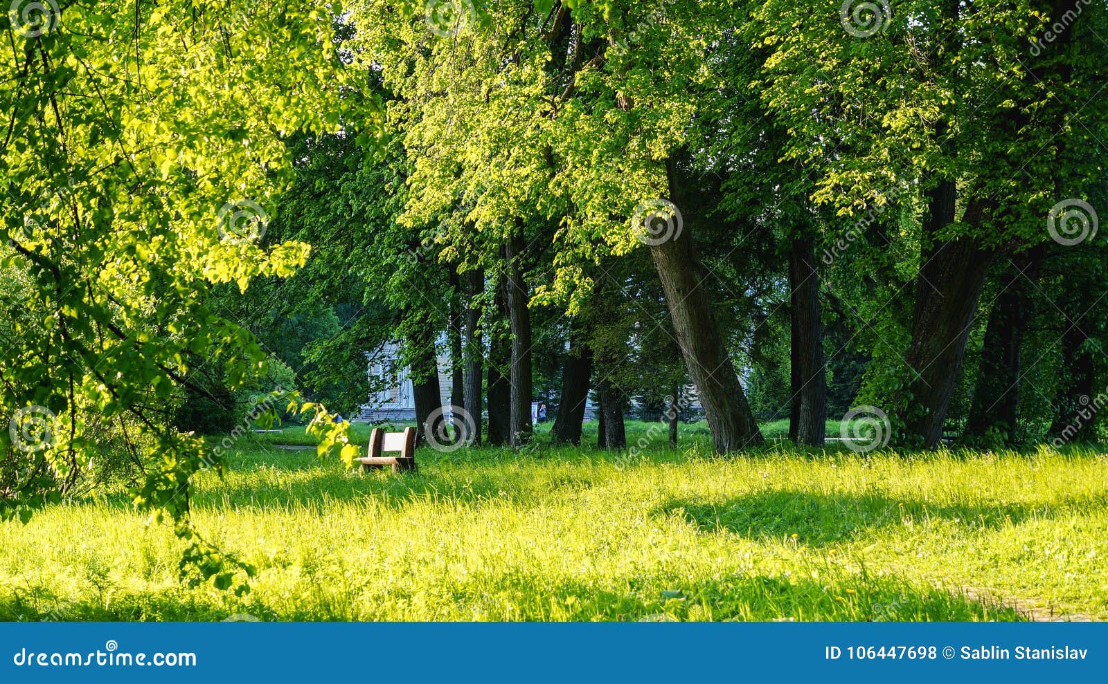A Landscape with Greenery and Sun. Stock Photo - Image of natural ...