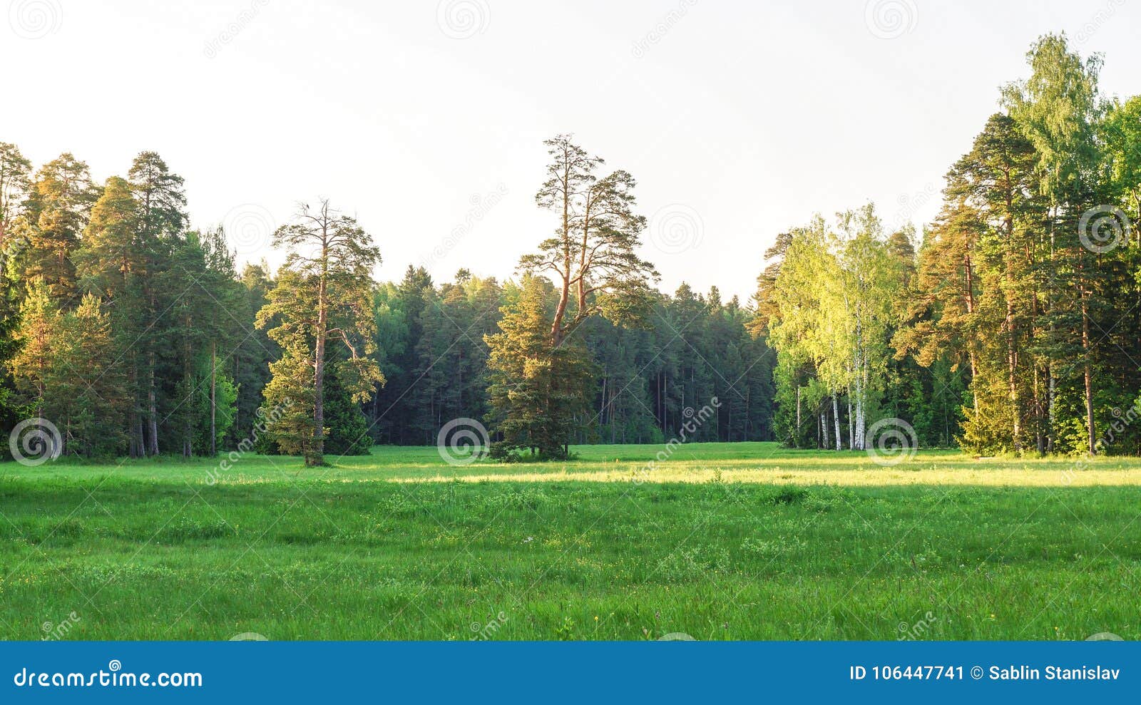 A Landscape with Greenery and Sun. Stock Image - Image of bright, scene ...