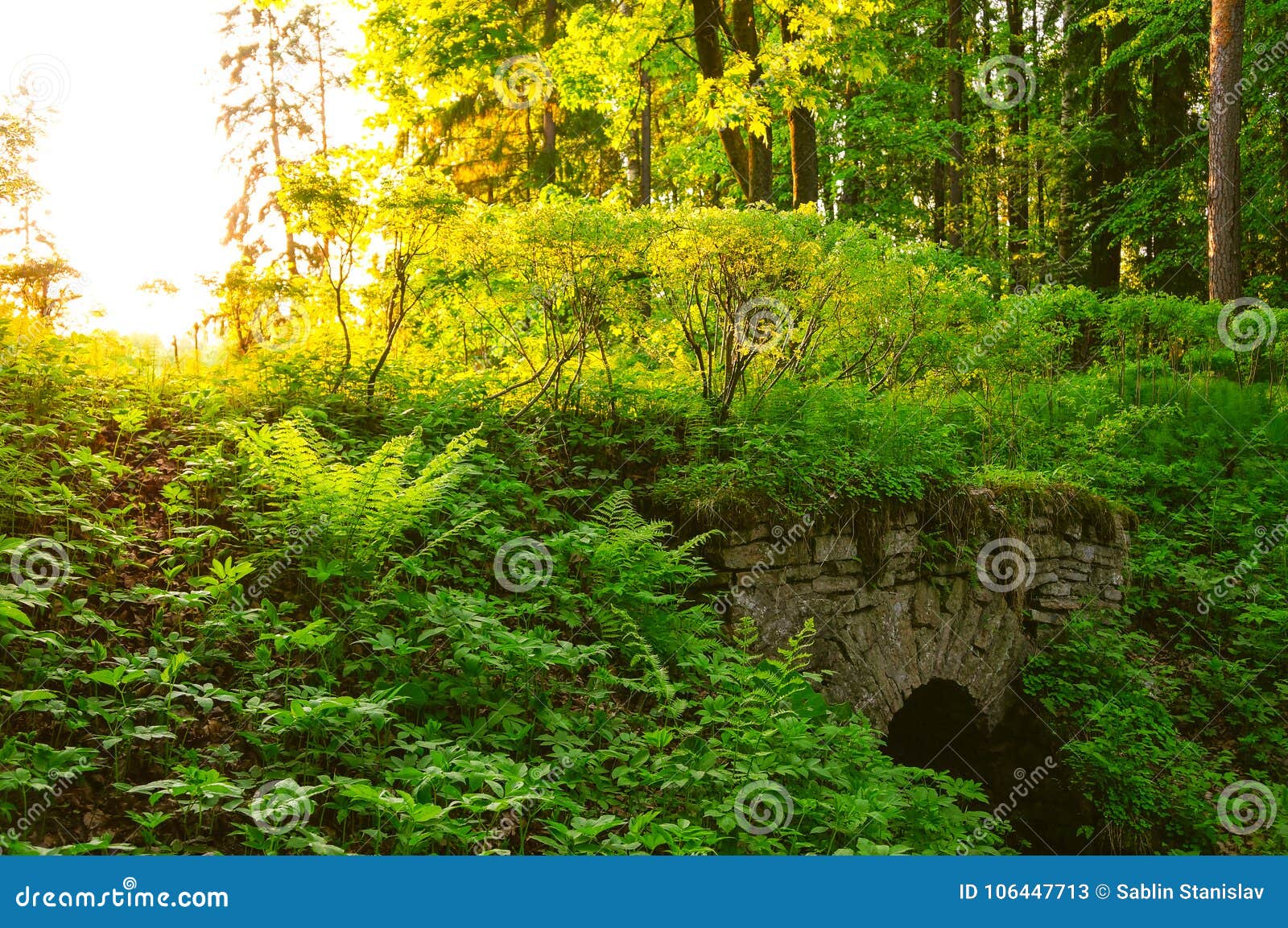 A Landscape with Greenery and Sun. Stock Image - Image of environment ...
