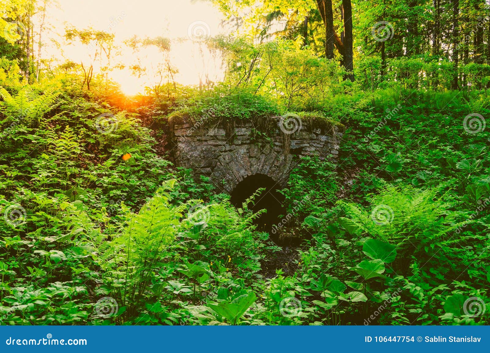 A Landscape with Greenery and Sun. Stock Photo - Image of leaf, light ...