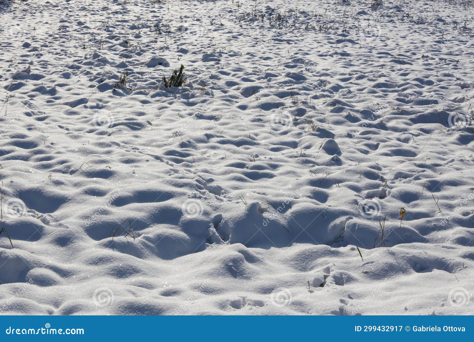 Landscape with a Ground Covered in Snow Stock Image - Image of cold ...
