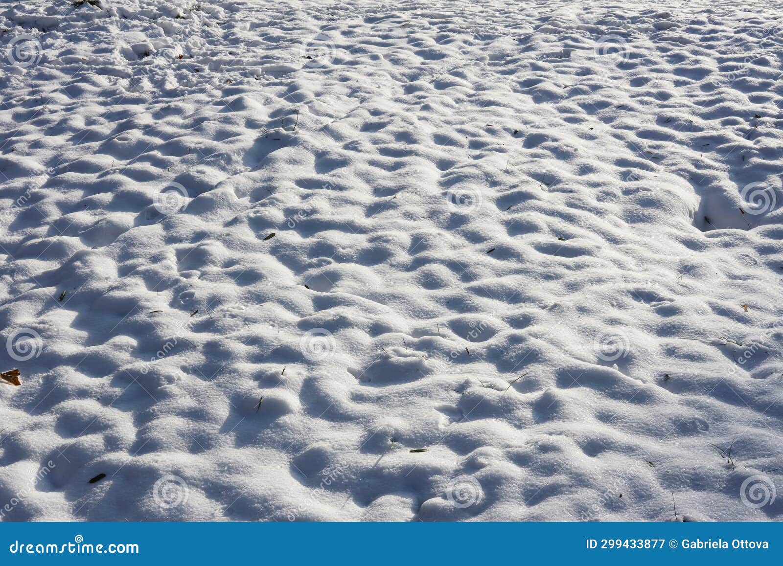 Landscape with a Ground Covered in Snow Stock Image - Image of nature ...