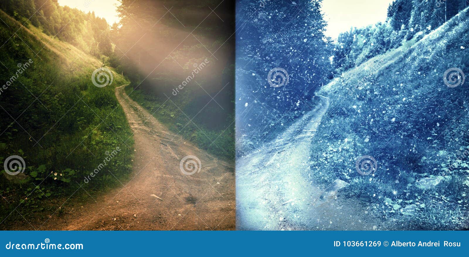 Seasons splitted stock image. Image of snow, nature - 103661269