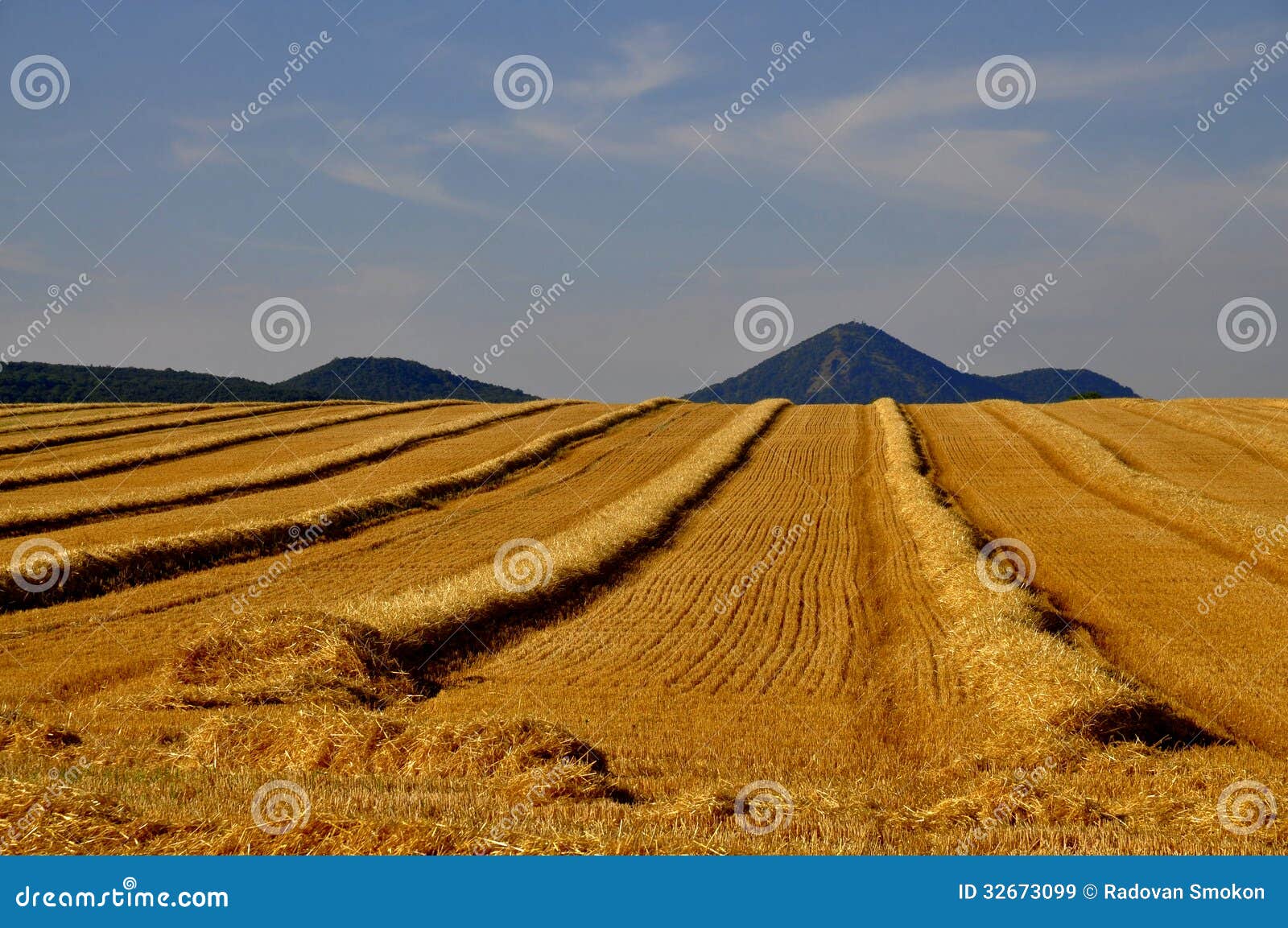 Landscape after harvest stock image. Image of environment - 32673099