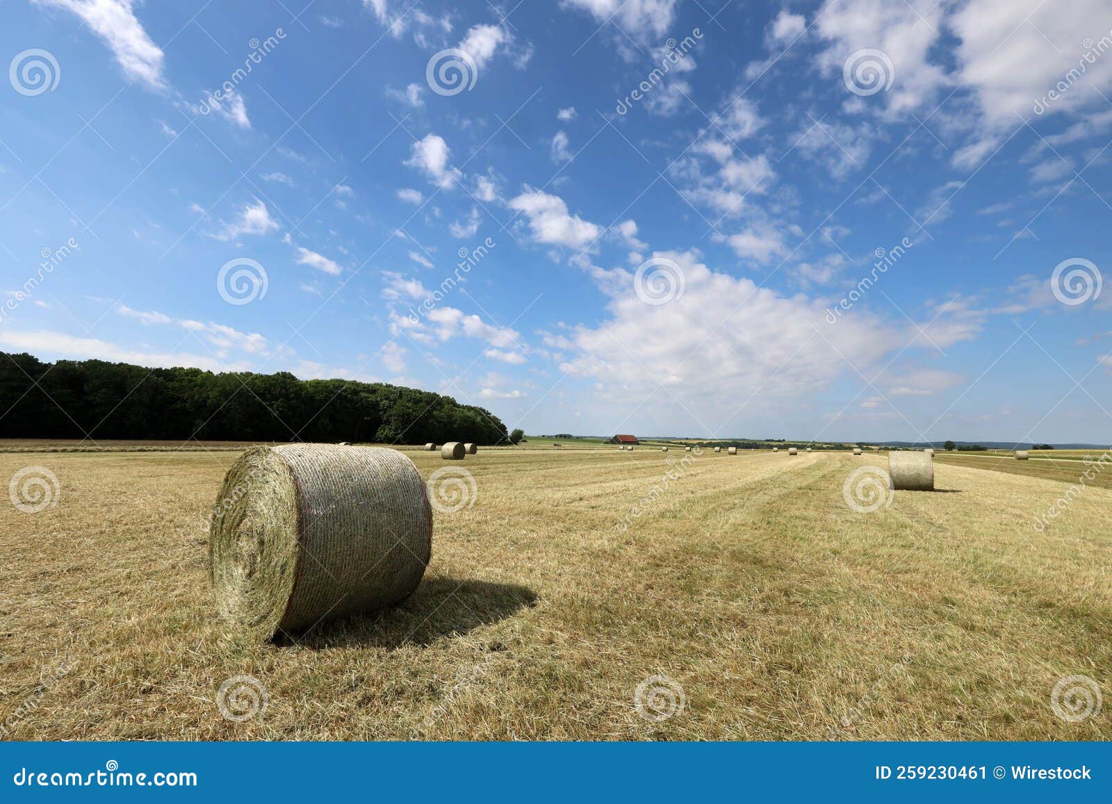 Landscape with Harvested Fields and Rolls of Hay Stock Image - Image of ...