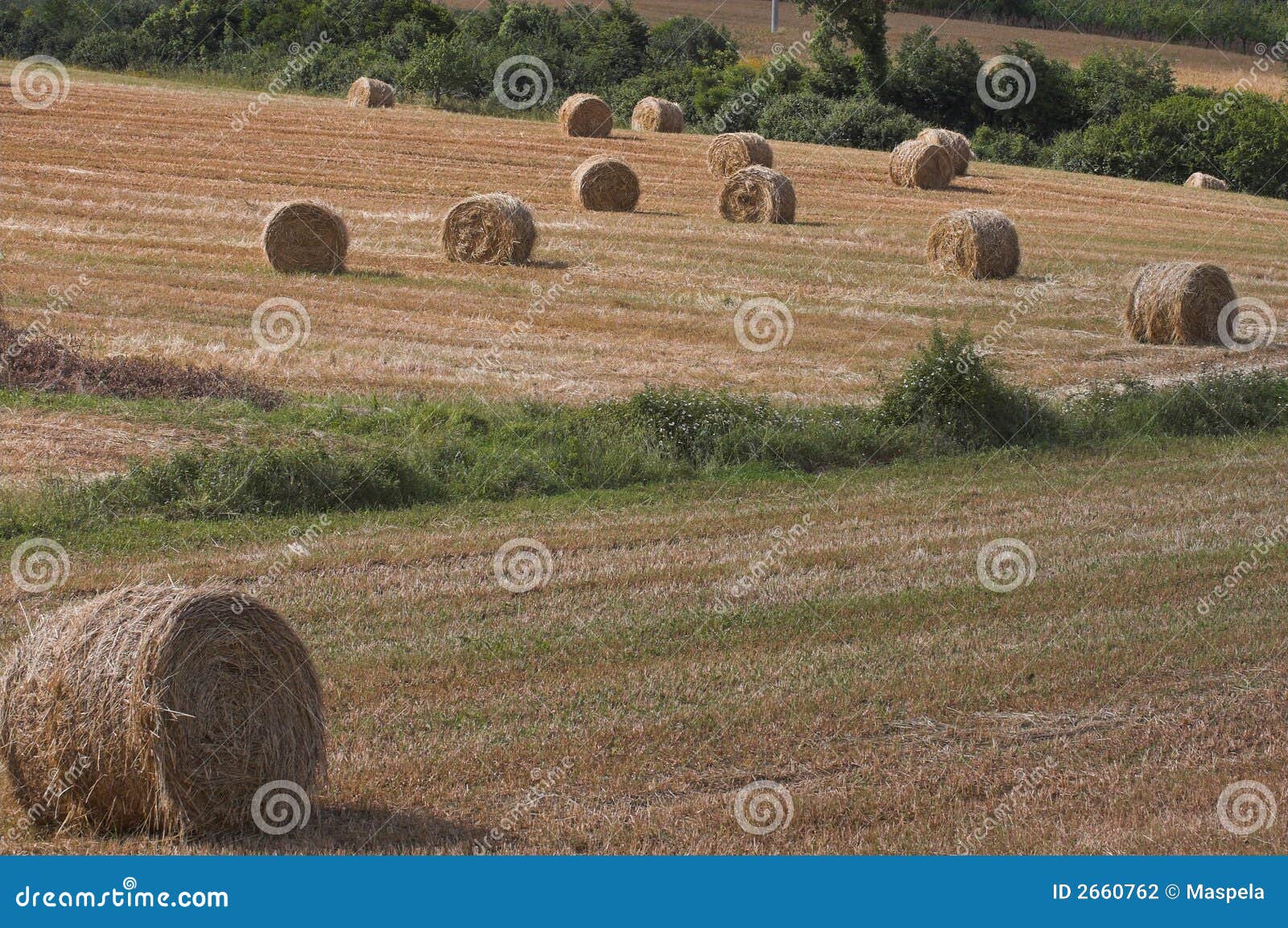 Landscape hay balls 1 stock photo. Image of crop, cultivate - 2660762