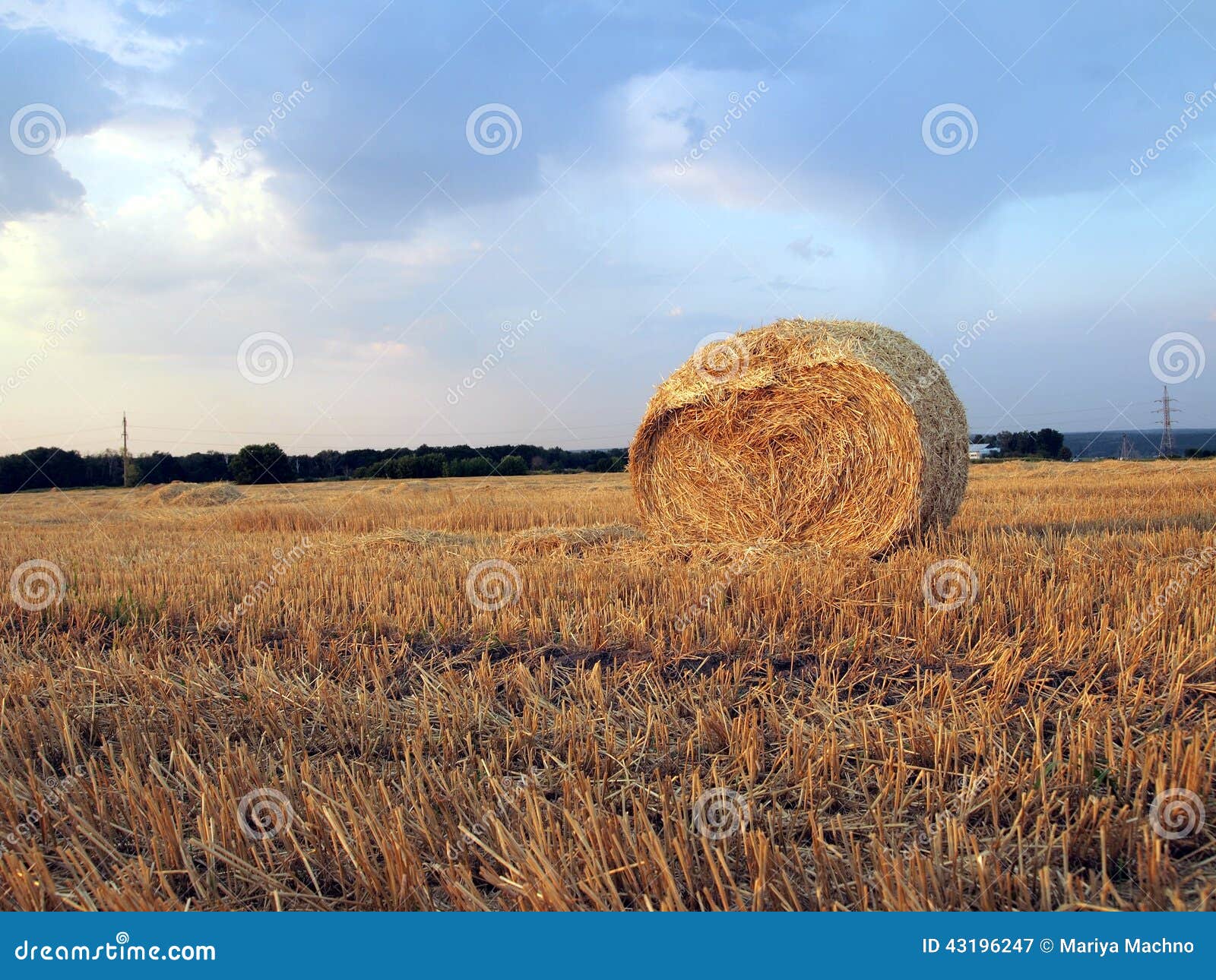 Landscape With Hay Roll Royalty-Free Stock Photo | CartoonDealer.com ...