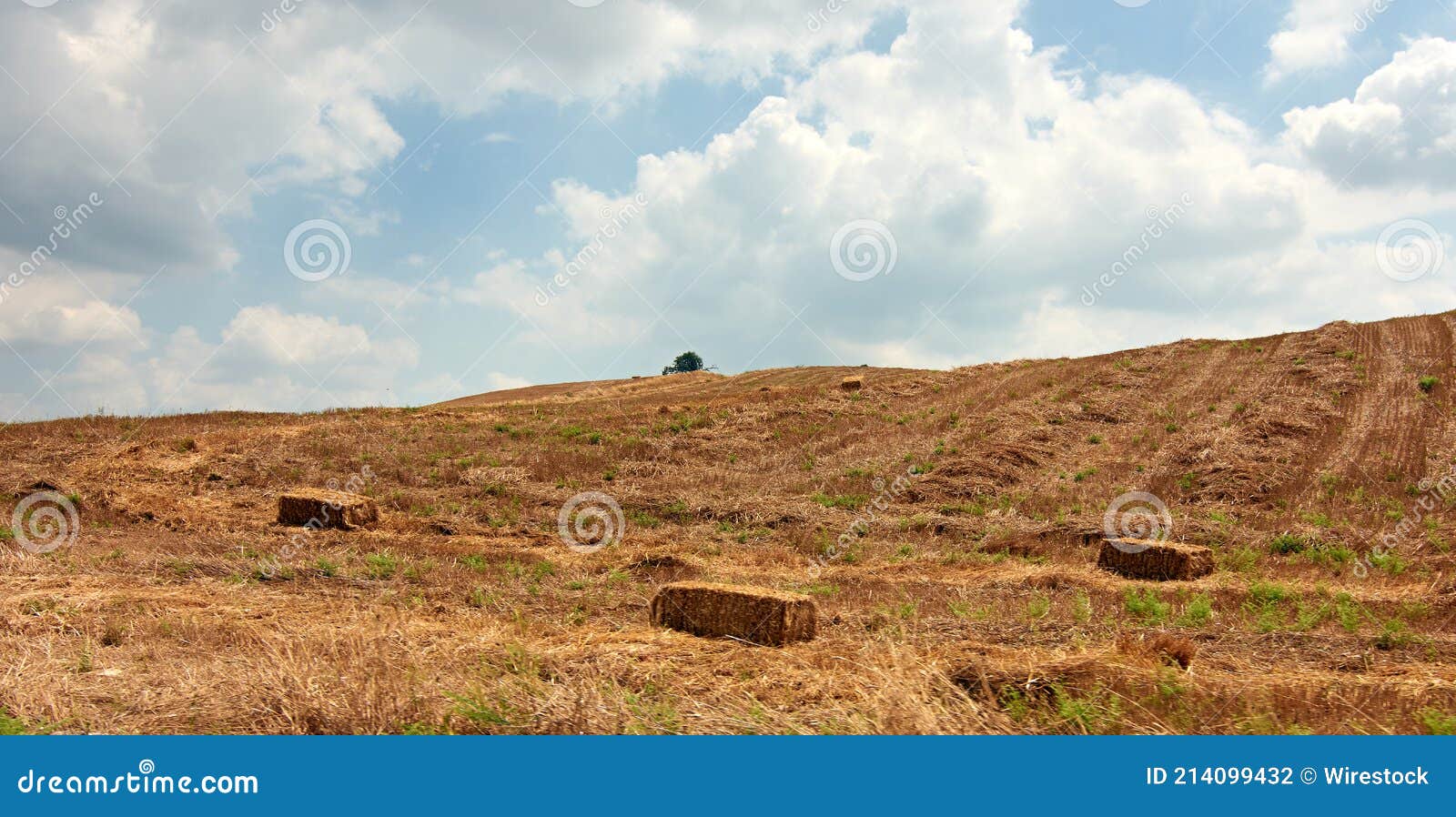 Landscape of Hay Square Bales on Brownfield Under a Cloudy Sky Stock ...