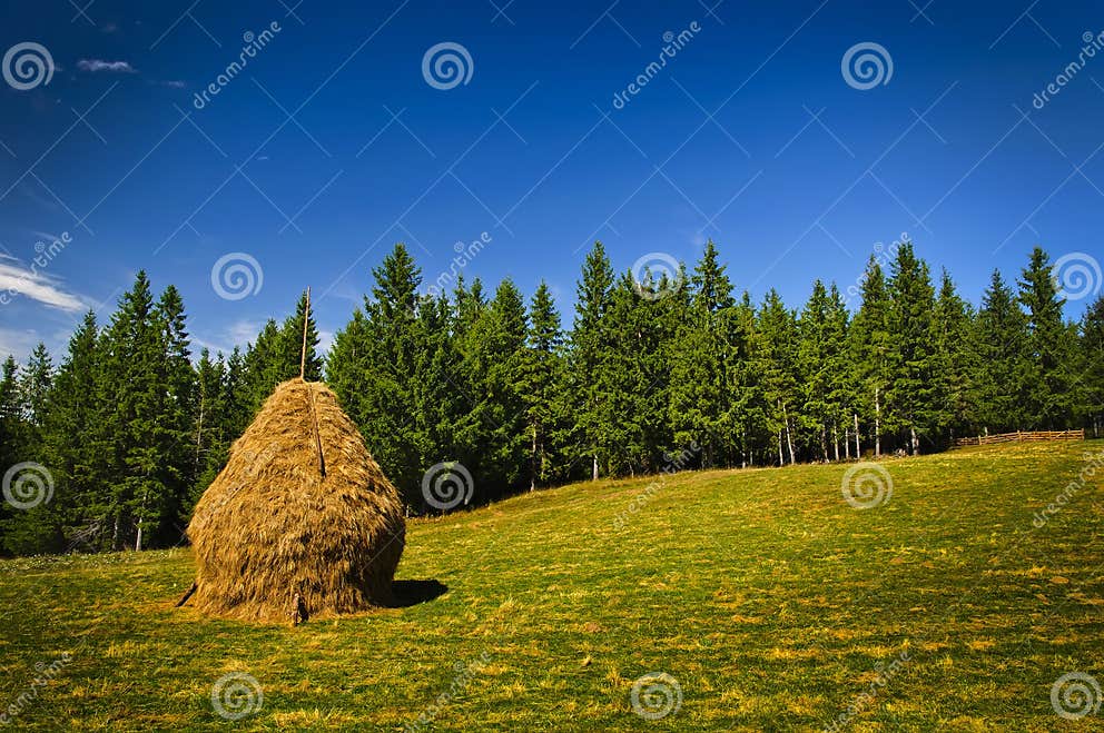 Landscape with hay stack stock image. Image of season - 16262711