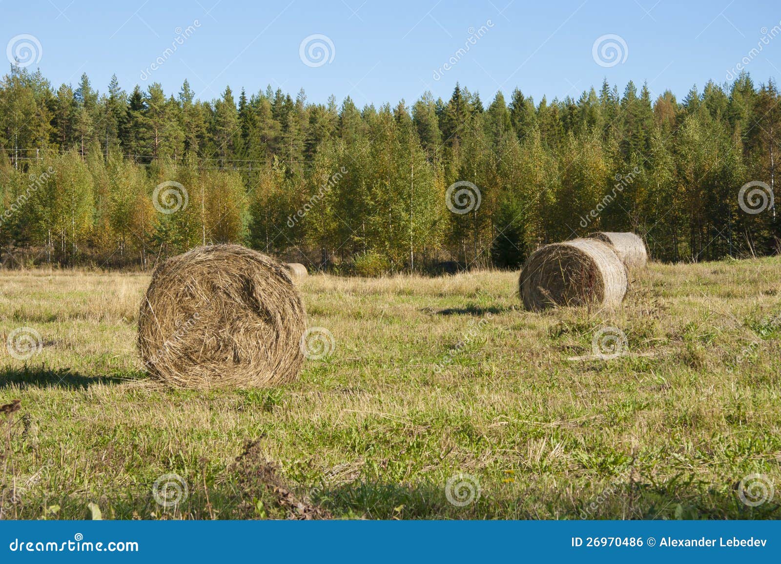 Landscape with hay stacks stock photo. Image of forest - 26970486