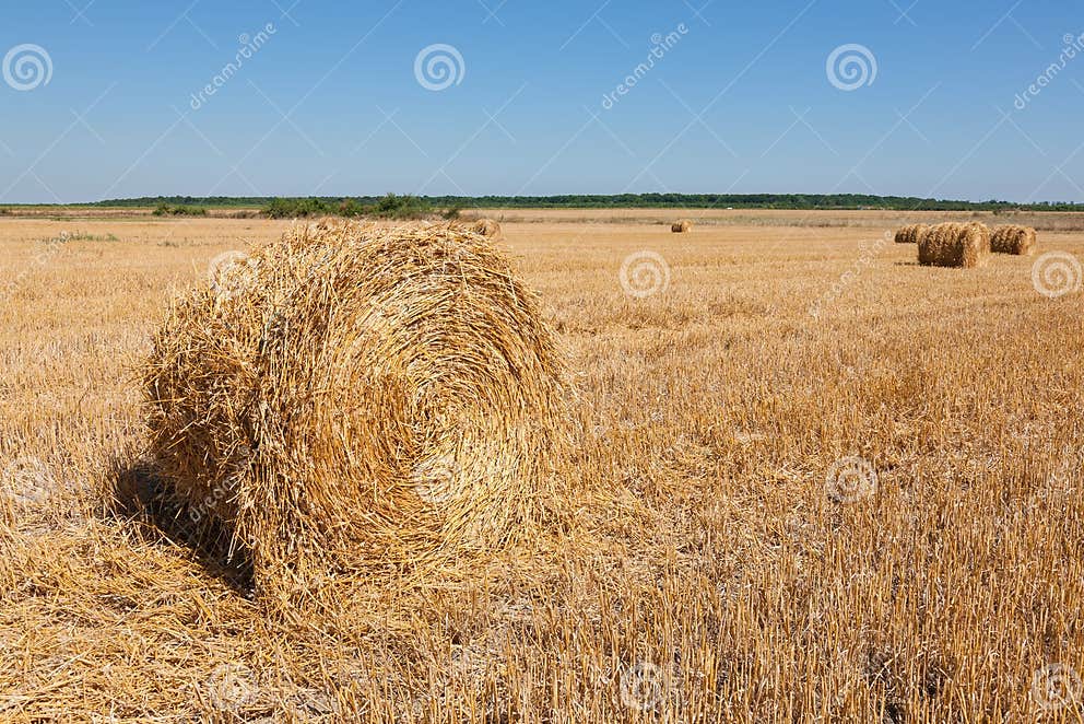 Landscape with Haystack and Blue Sky Stock Image - Image of plant ...