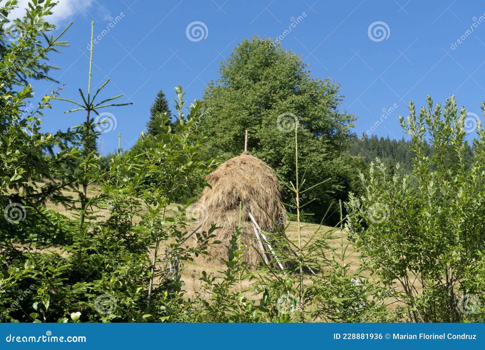 Haystacks in the Apuseni Mountains from Romania Stock Photo - Image of ...
