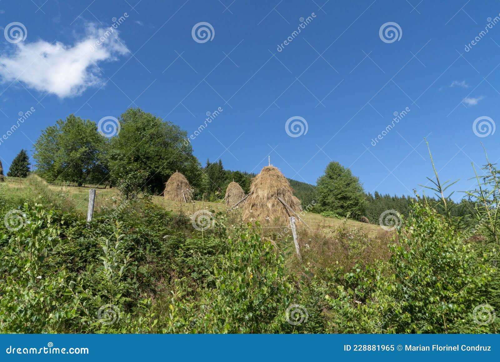 Haystacks in the Apuseni Mountains from Romania Stock Image - Image of ...