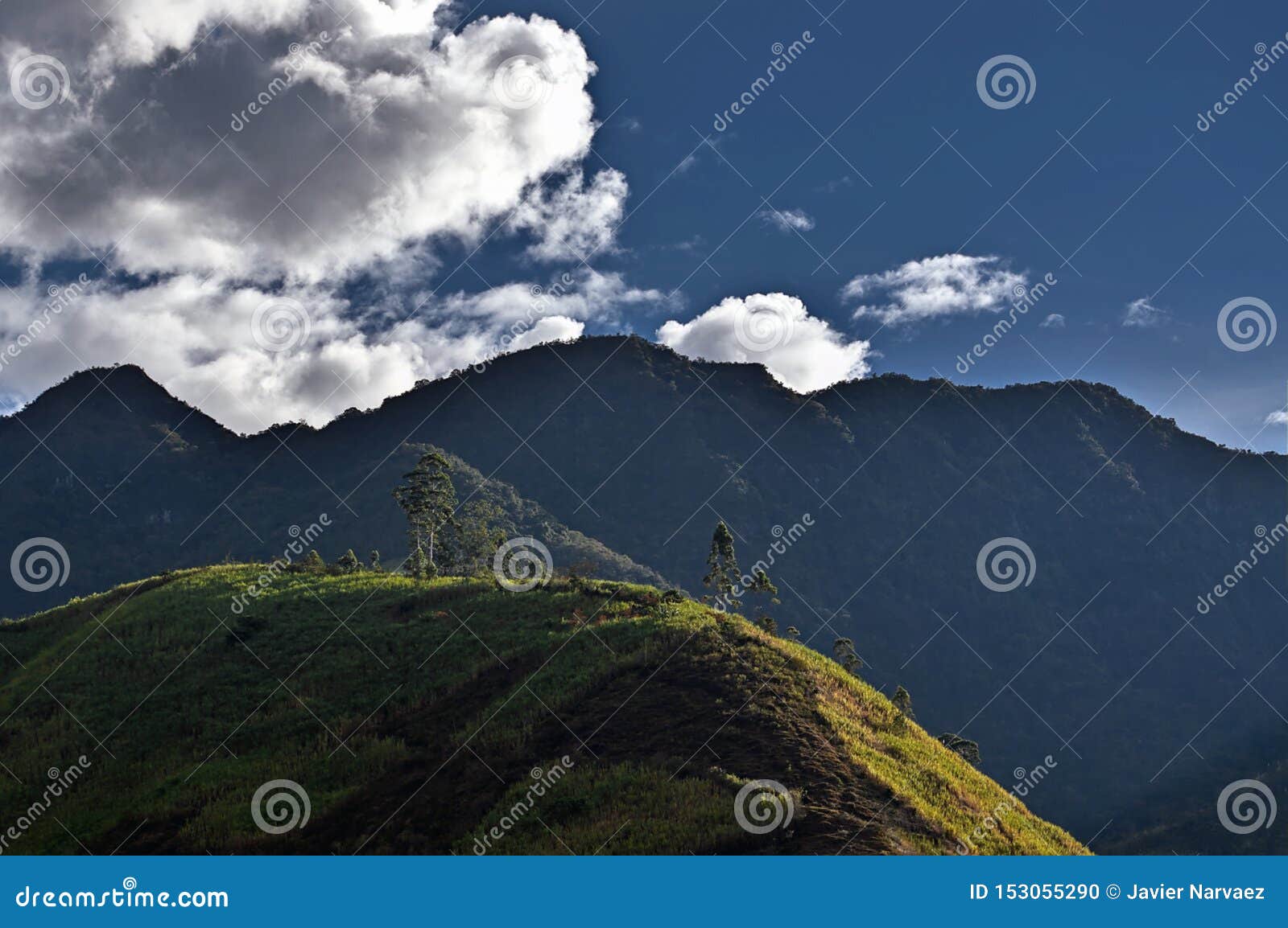 Landscape of a Hill with a Tree on Top Stock Photo - Image of park ...