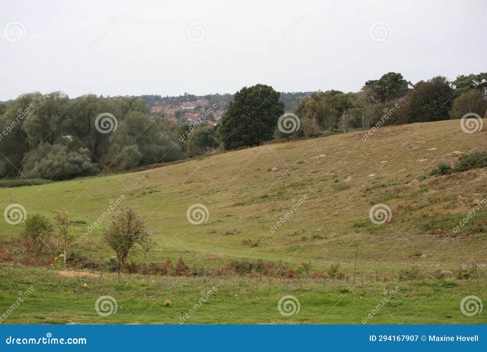 Landscape Hills of Sutton Hoo Stock Image - Image of countryside, blue ...
