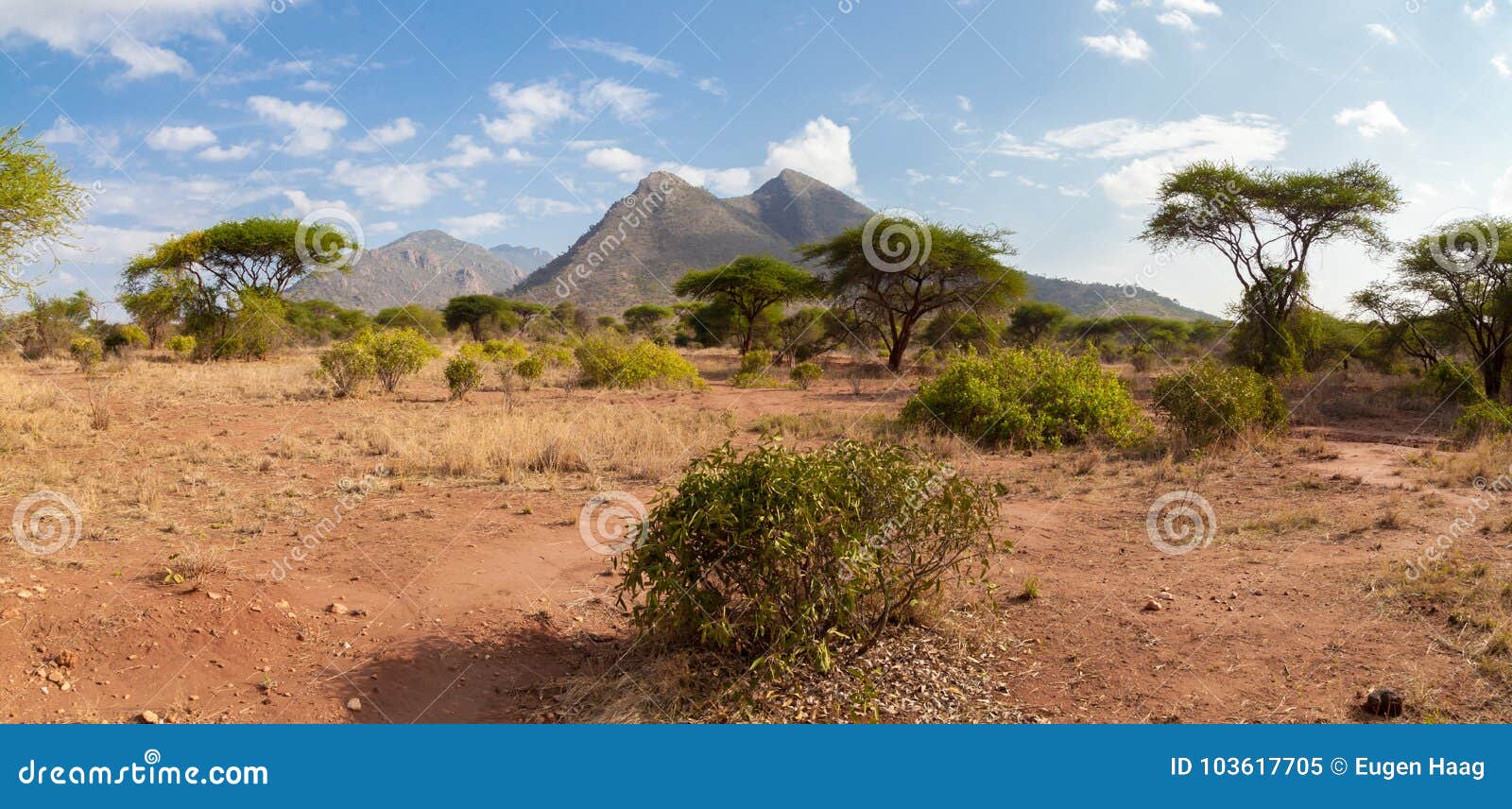 Landscape with Hills and Trees, Kenya Stock Image - Image of cloud ...
