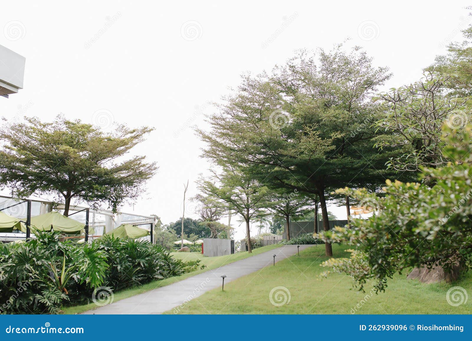 Landscape of a Hilly Garden and Pathway Filled with Trees and Greenery ...