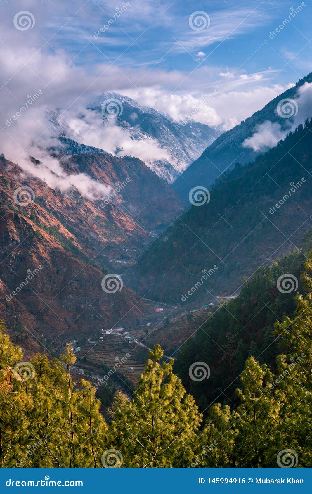 Landscape in Himalayas Surrounded by Deodar Tree Stock Photo - Image of ...