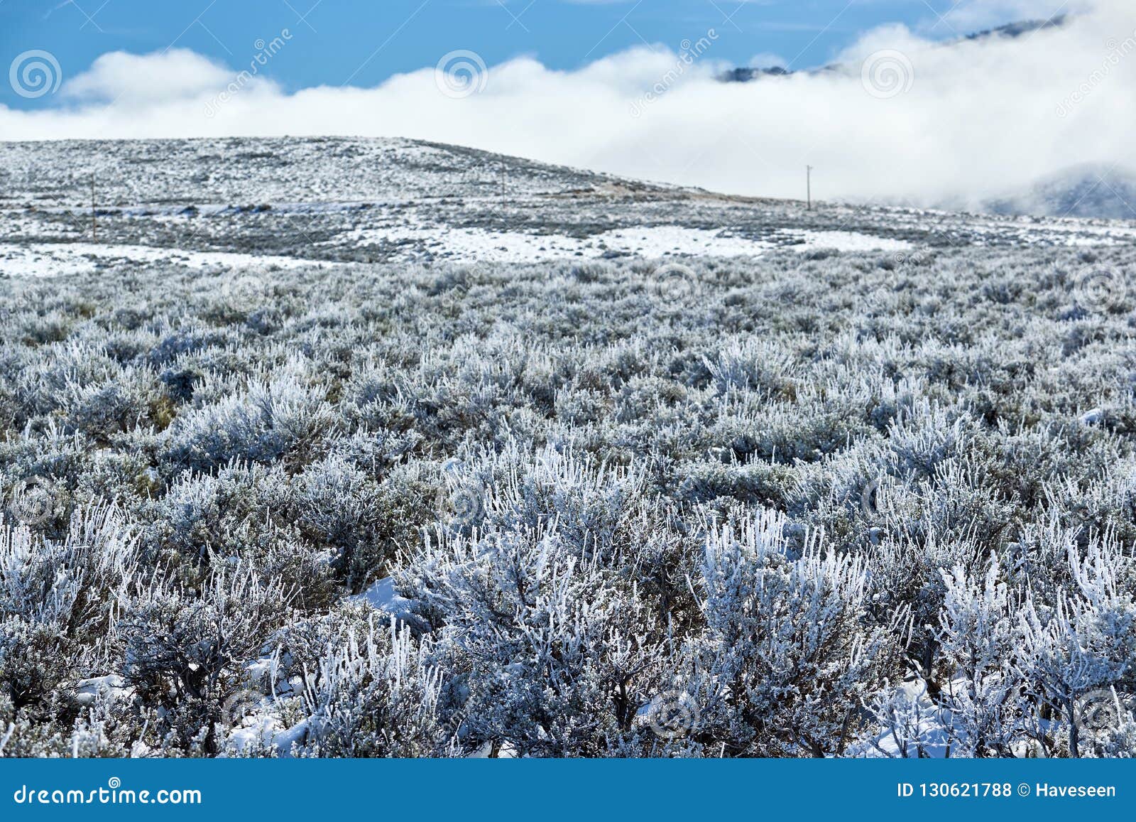 Landscape with hoarfrost stock photo. Image of autumn - 130621788