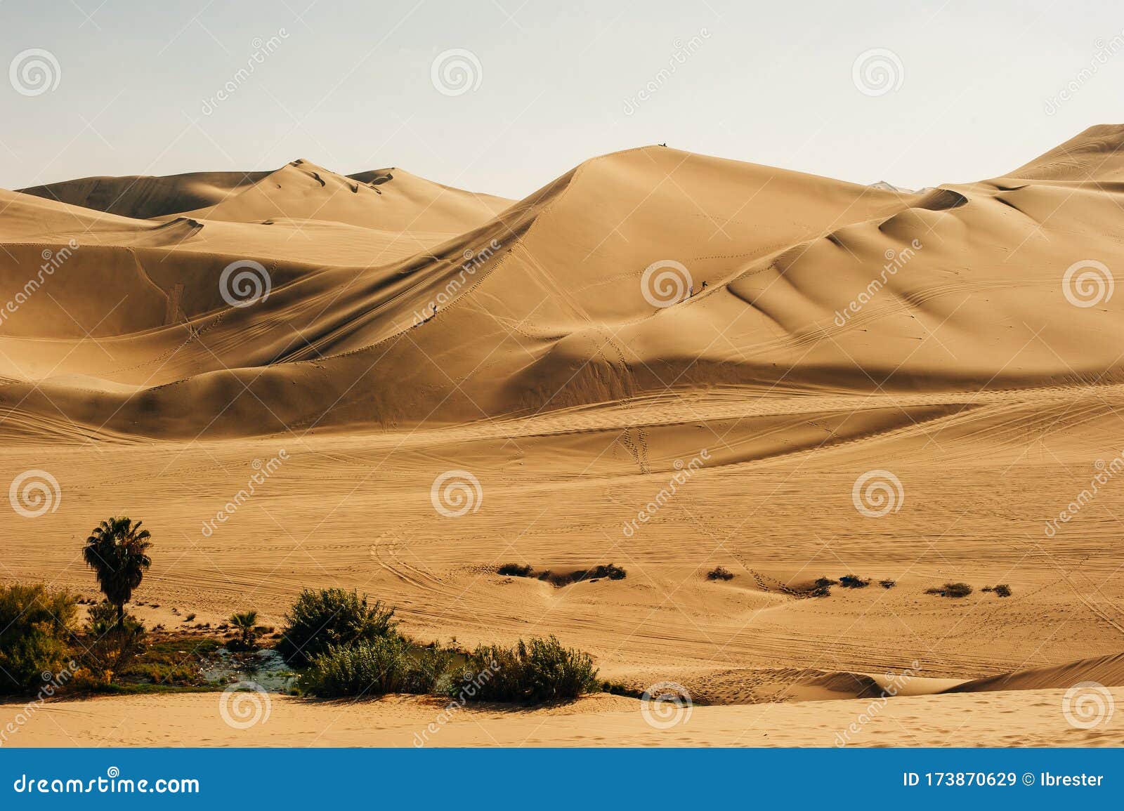 Landscape of Huacachina Desert. in Ica, Peru Stock Image - Image of ...