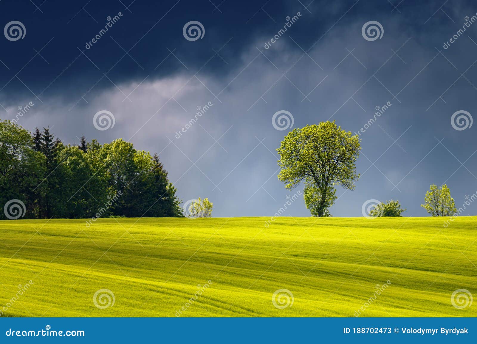 Landscape with Illuminated Sunlight Tree before the Storm Stock Image ...