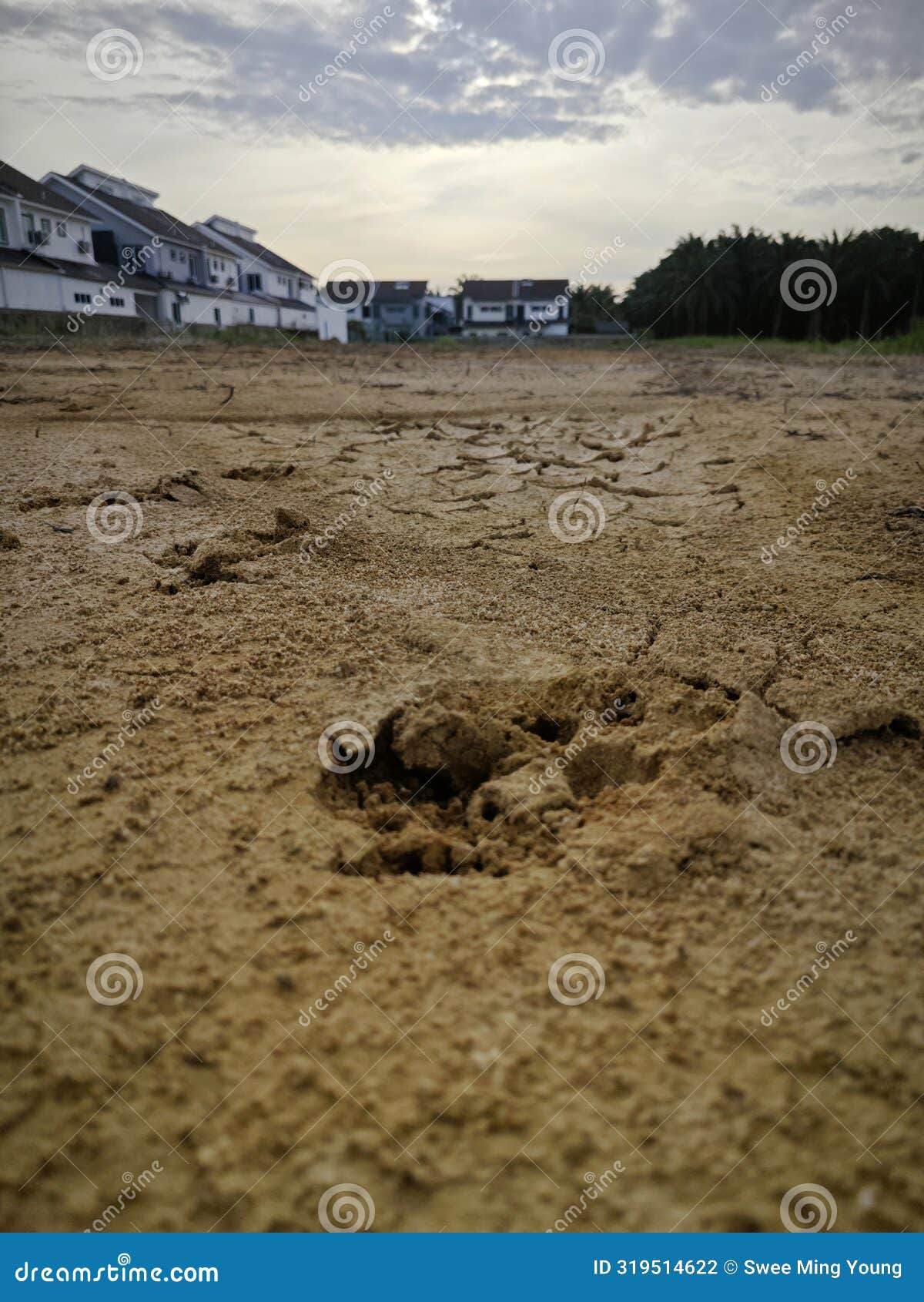 Common Natural Phenomenon on the Earth Surface Cracking. Stock Photo ...