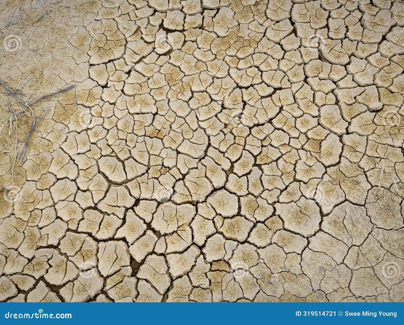 Common Natural Phenomenon on the Earth Surface Cracking. Stock Image ...