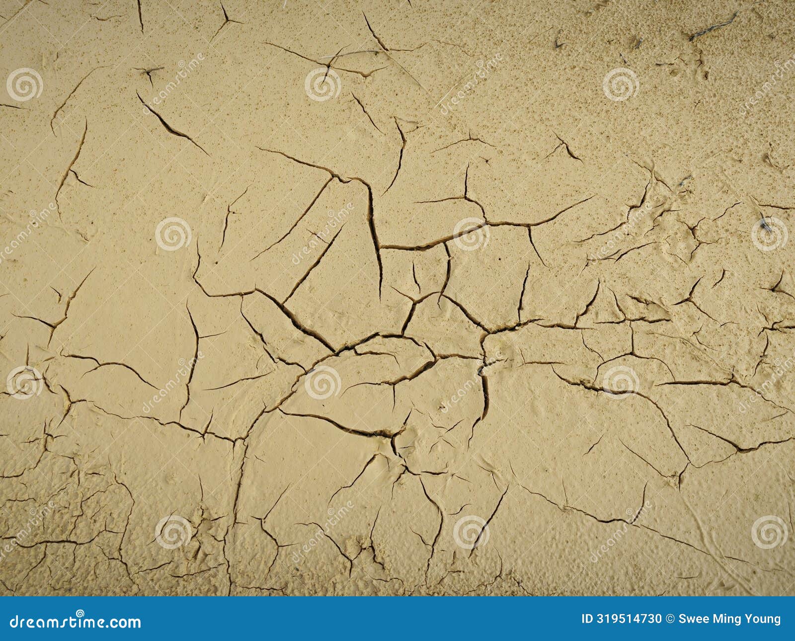 Common Natural Phenomenon on the Earth Surface Cracking. Stock Photo ...