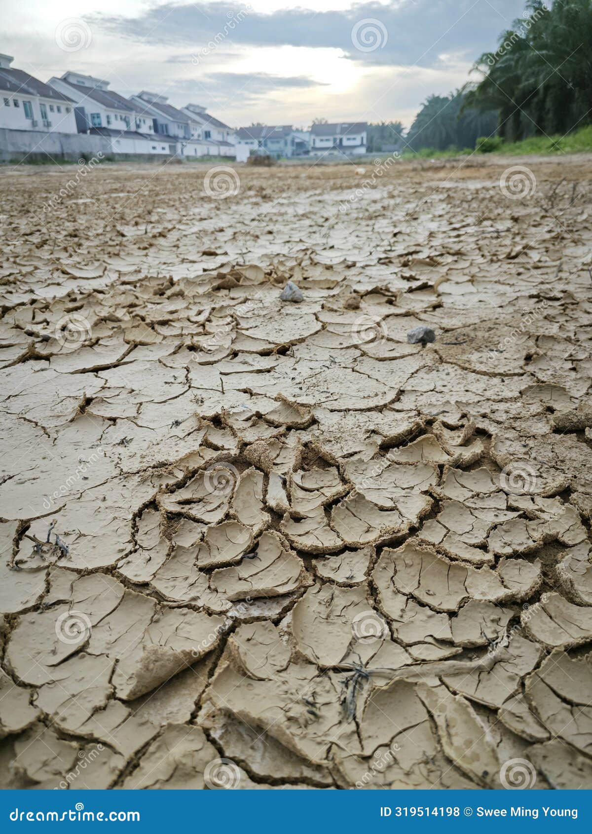 Common Natural Phenomenon on the Earth Surface Cracking. Stock Photo ...