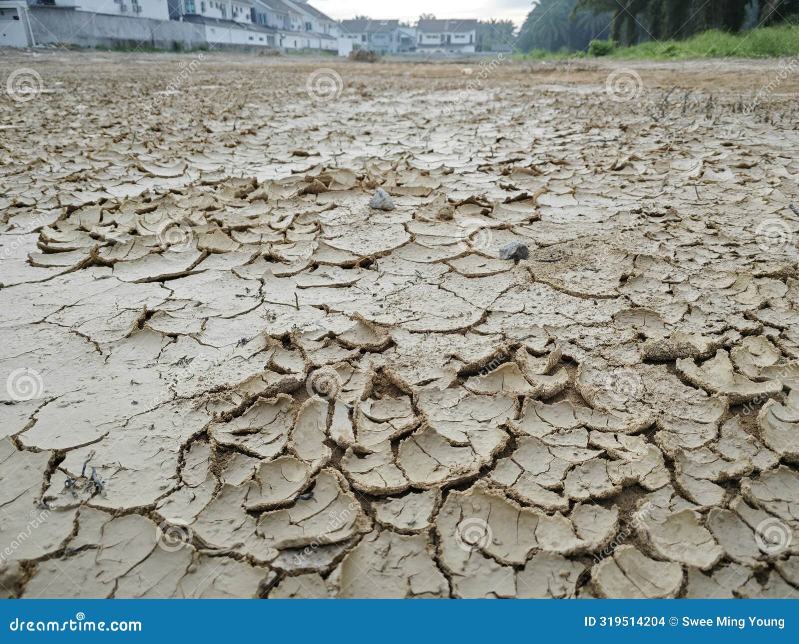 Common Natural Phenomenon on the Earth Surface Cracking. Stock Photo ...