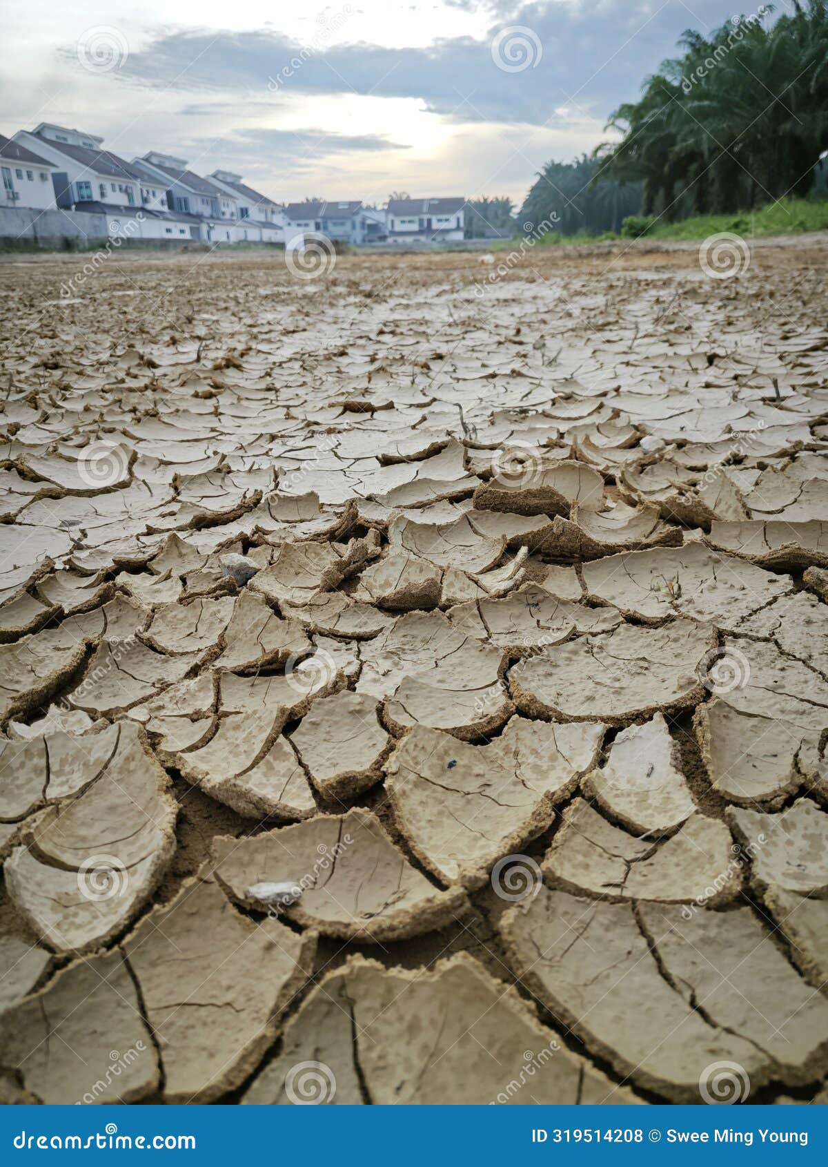 Common Natural Phenomenon on the Earth Surface Cracking. Stock Photo ...