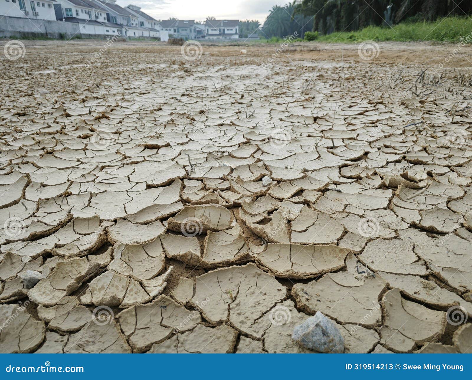 Common Natural Phenomenon on the Earth Surface Cracking. Stock Image ...