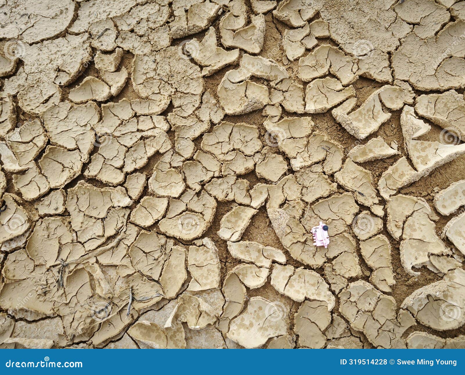 Common Natural Phenomenon on the Earth Surface Cracking. Stock Photo ...