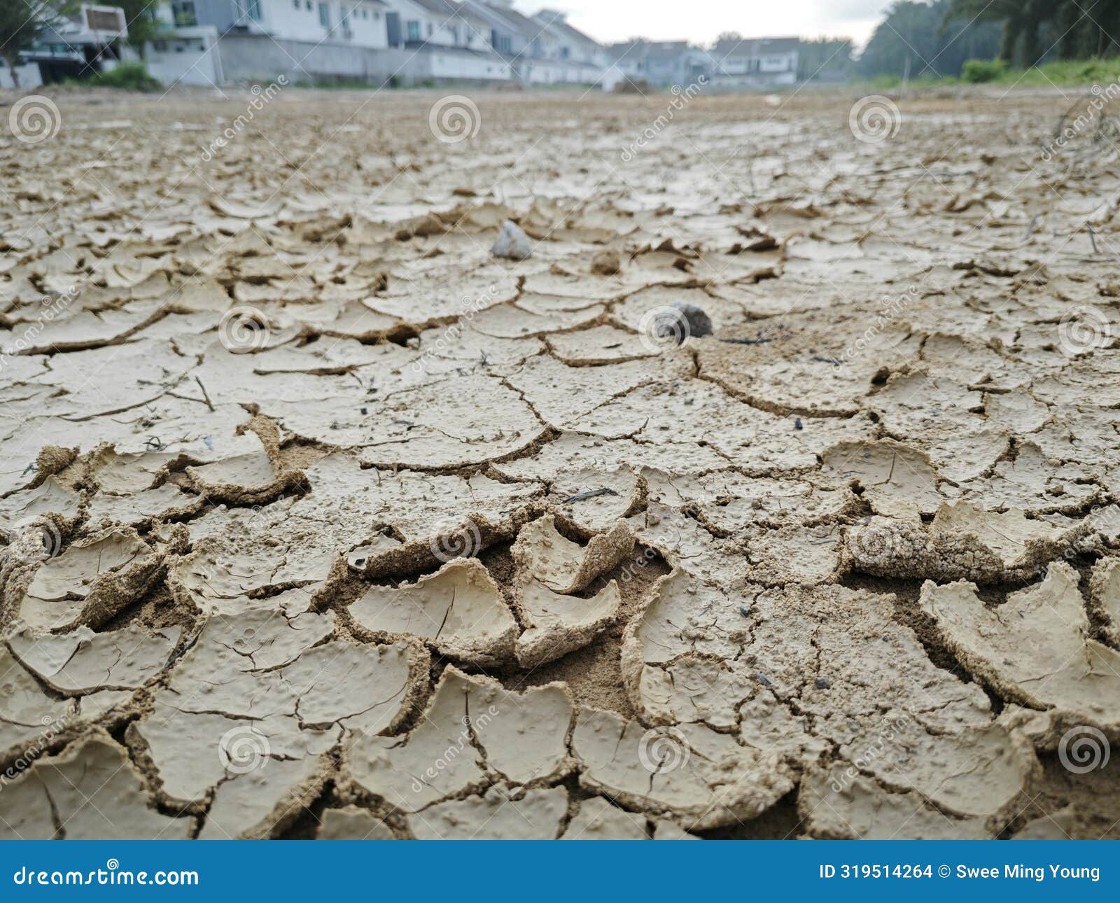 Common Natural Phenomenon on the Earth Surface Cracking. Stock Photo ...