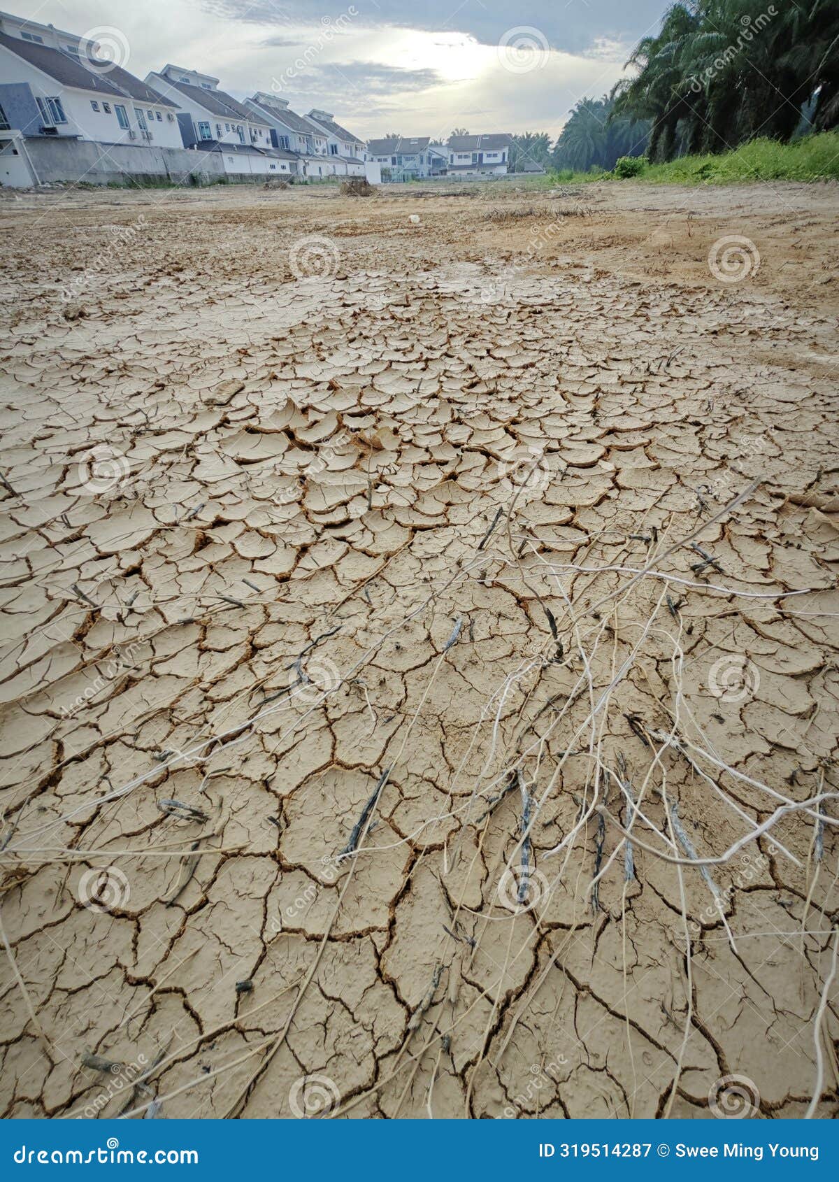Common Natural Phenomenon on the Earth Surface Cracking. Stock Image ...