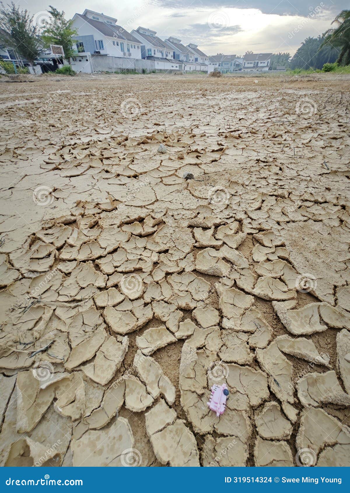 Common Natural Phenomenon on the Earth Surface Cracking. Stock Photo ...
