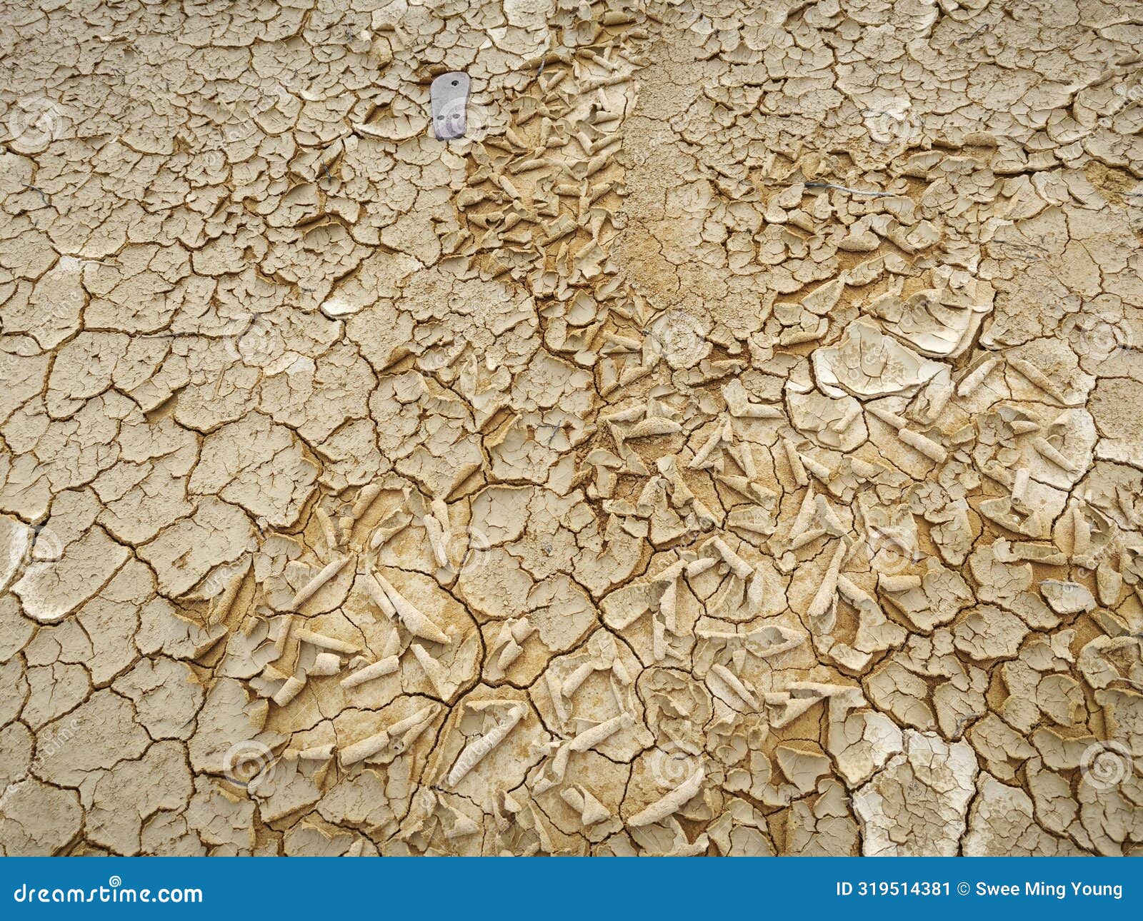 Common Natural Phenomenon on the Earth Surface Cracking. Stock Image ...