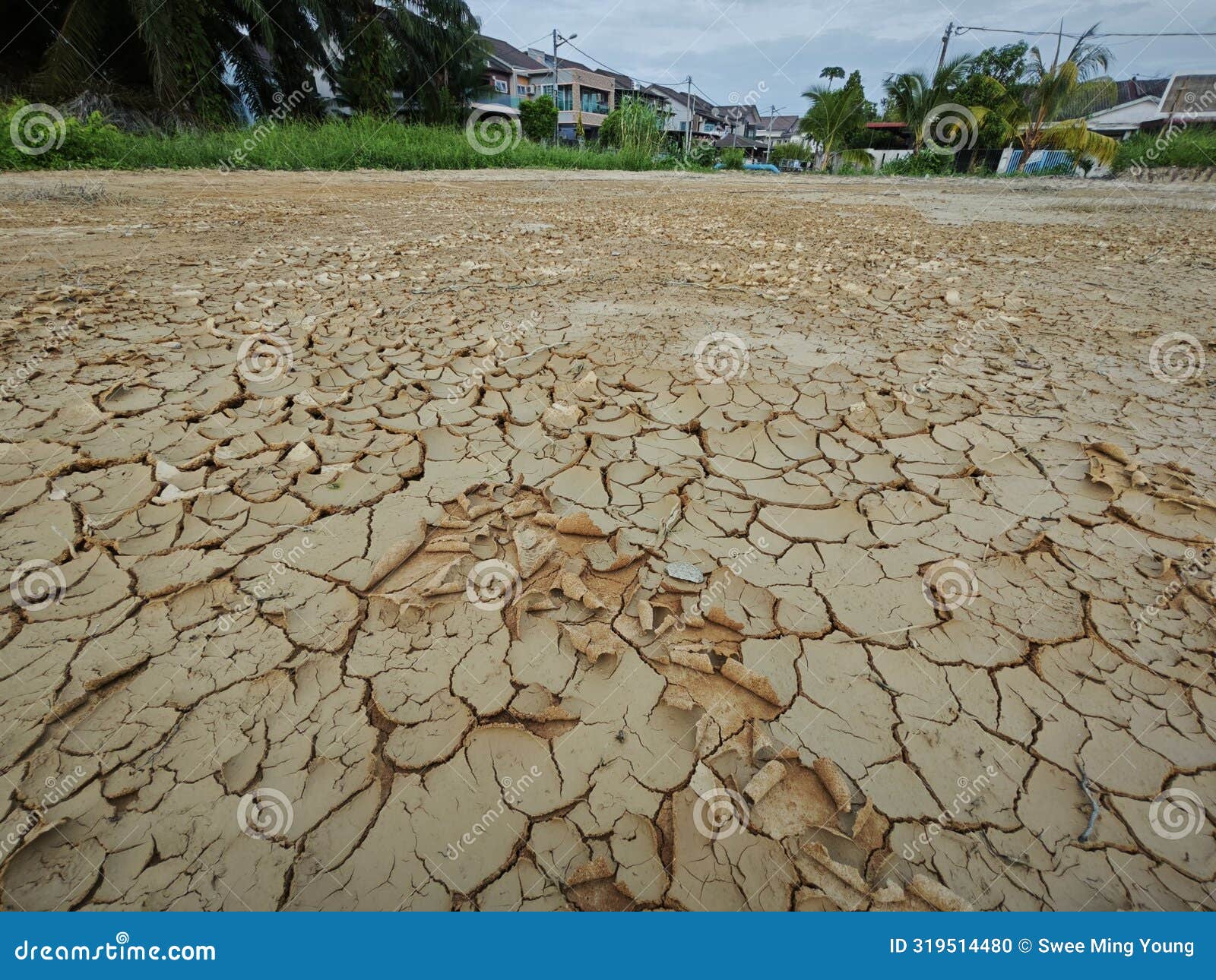 Common Natural Phenomenon on the Earth Surface Cracking. Stock Photo ...