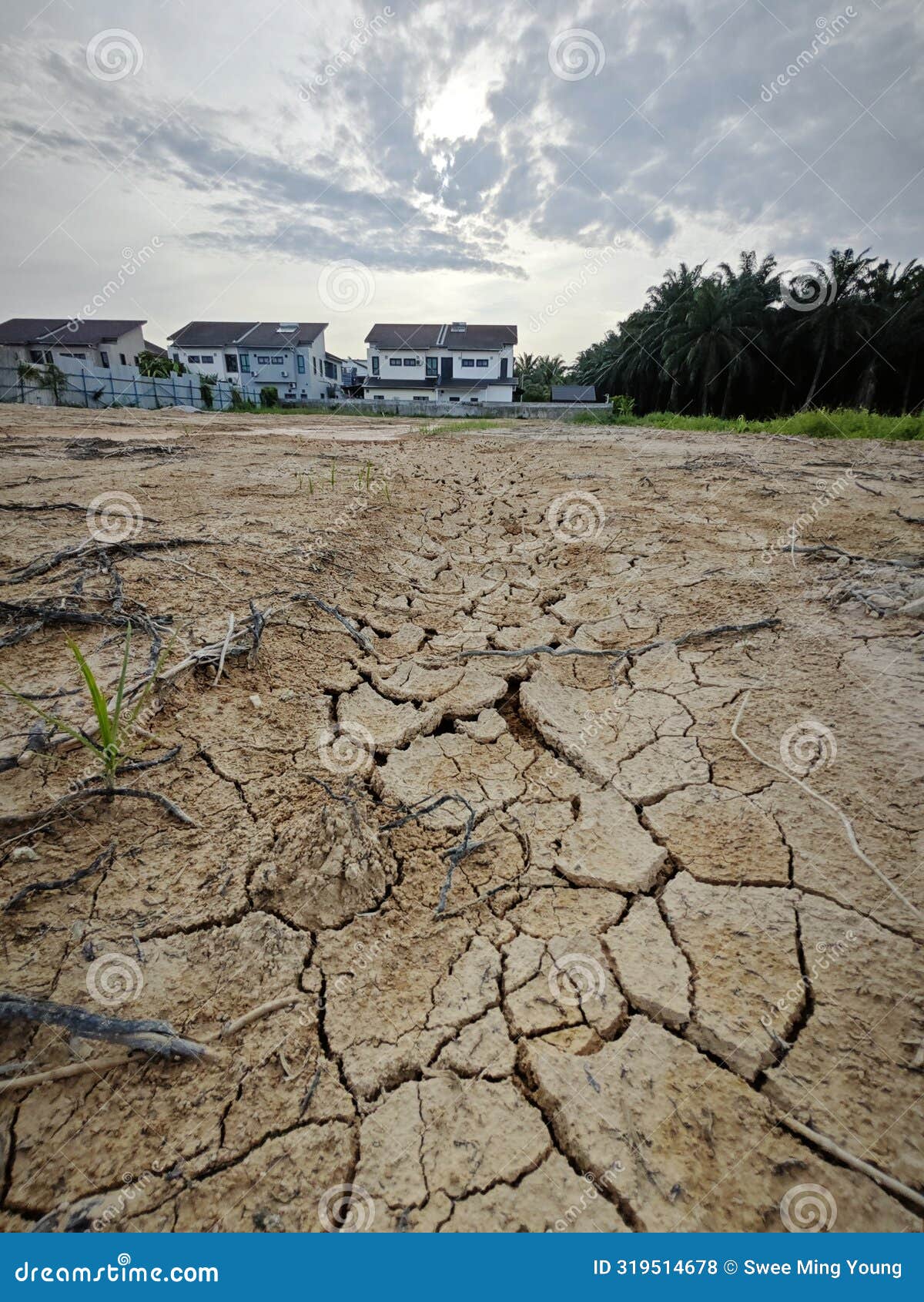 Common Natural Phenomenon on the Earth Surface Cracking. Stock Photo ...