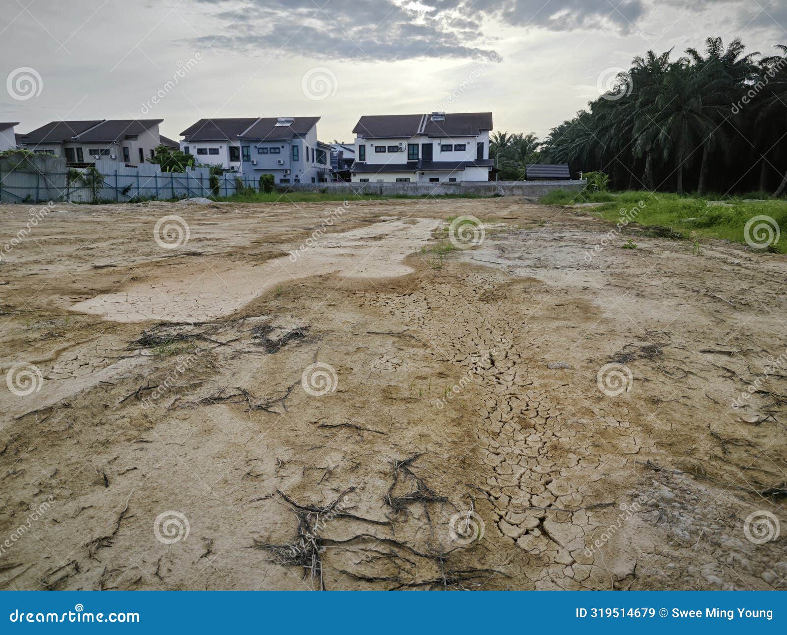 Common Natural Phenomenon on the Earth Surface Cracking. Stock Image ...