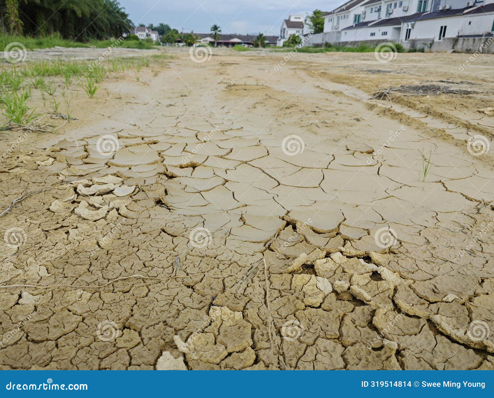 Common Natural Phenomenon on the Earth Surface Cracking. Stock Photo ...