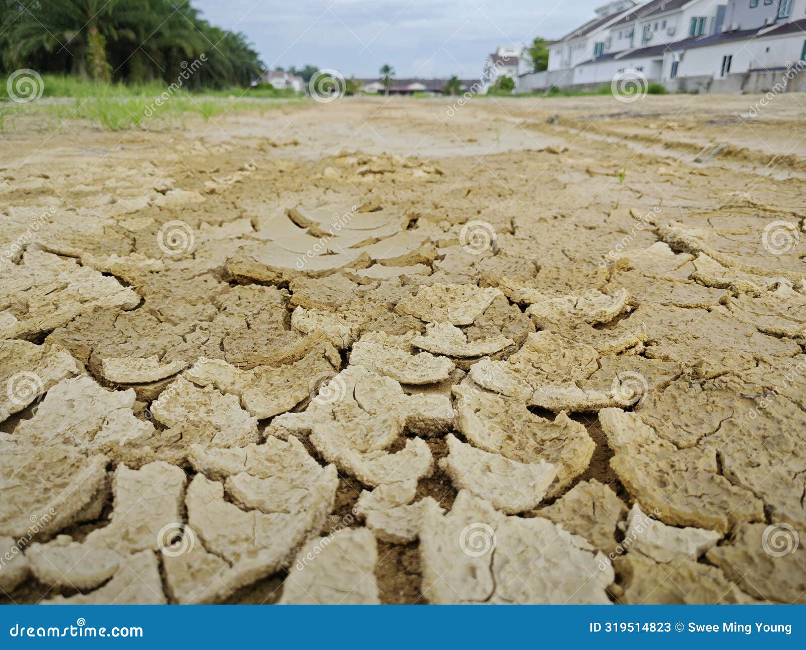Common Natural Phenomenon on the Earth Surface Cracking. Stock Image ...