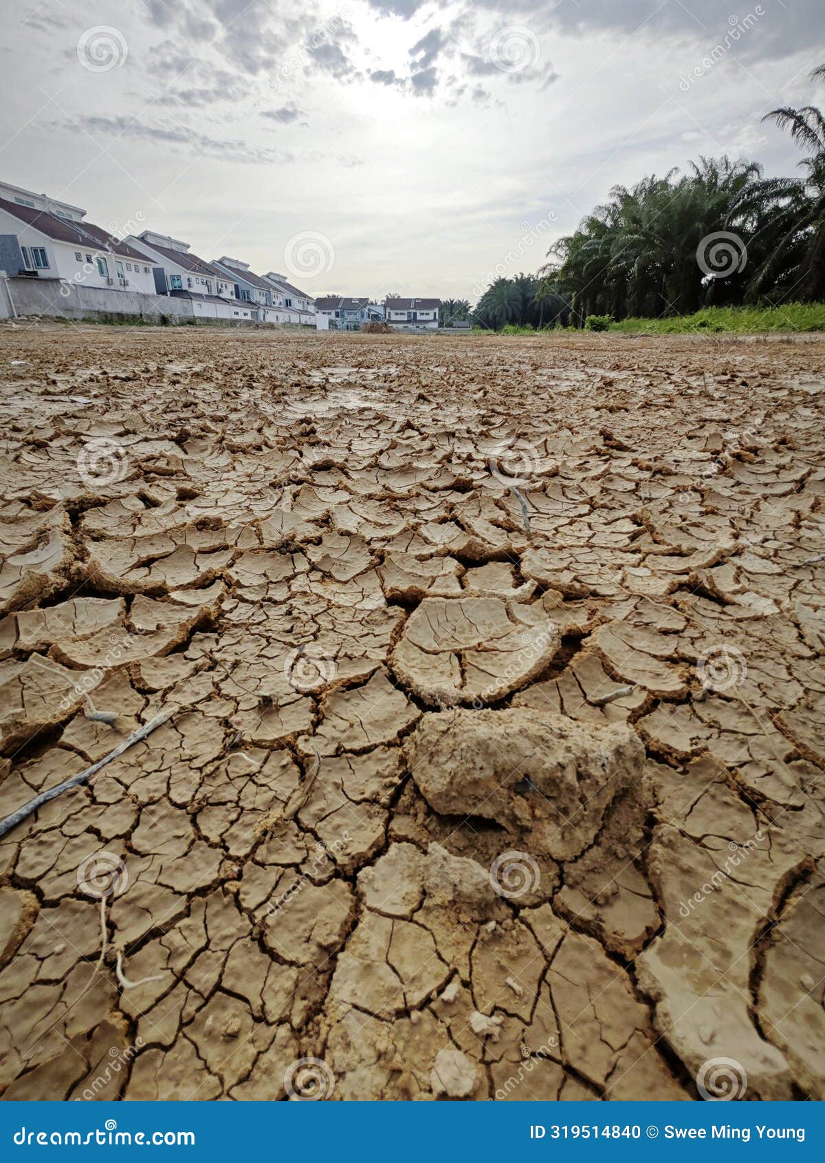 Common Natural Phenomenon on the Earth Surface Cracking. Stock Photo ...
